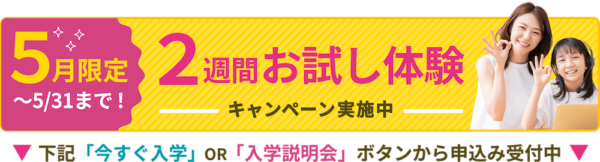 aini school 小中等部 | 不登校オンラインフリースクール